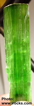 Actinolite