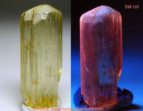 Marialite