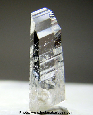 Nifontovite