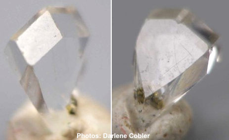 Whewellite